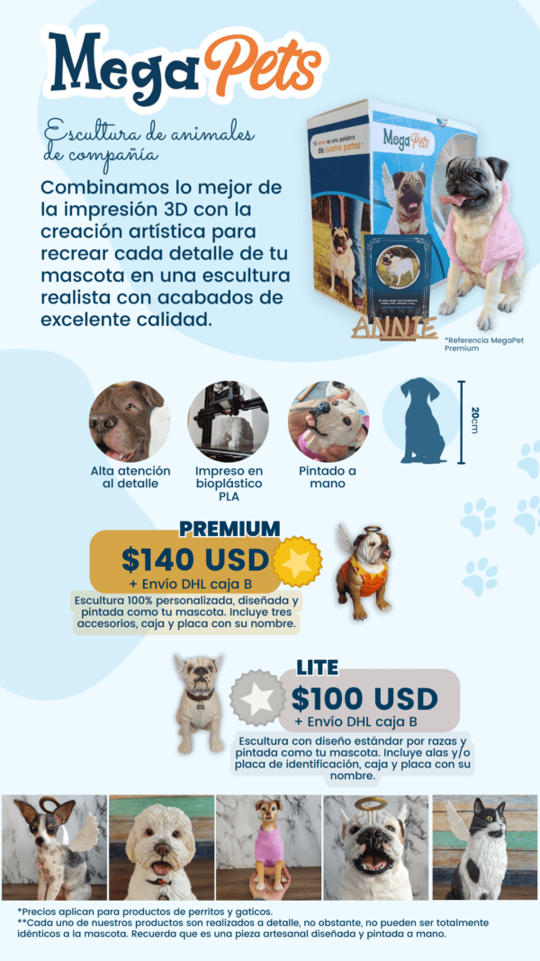 Internacional MegaPet – Andika3D